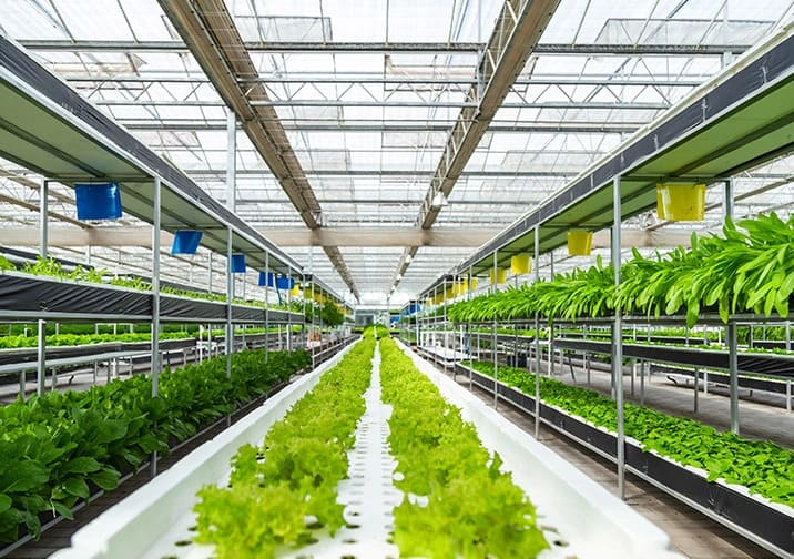 Metware Global Metabolite Profiling Servicern - MetwareBio