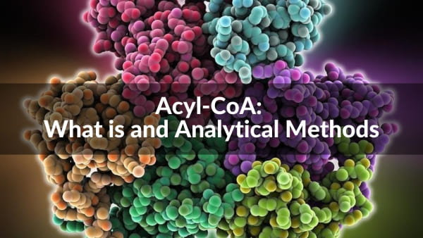 Acyl-CoA: What is and Analytical Methods - MetwareBio
