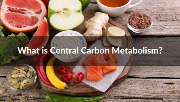 Knowledgebase - MetwareBio