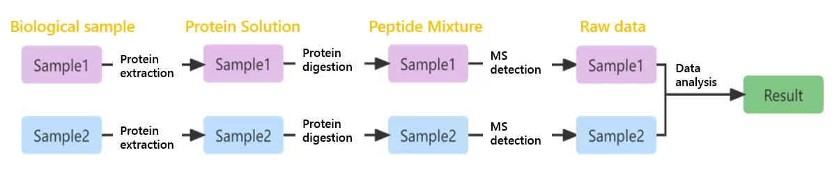 An Overview of Mainstream Proteomics Techniques - MetwareBio