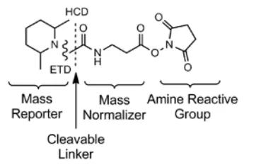 An Overview of Mainstream Proteomics Techniques - MetwareBio
