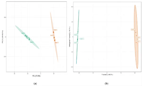 Unlocking the Flavor: Pepper Metabolomics Profiling - MetwareBio