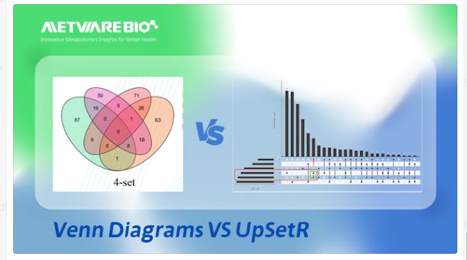 Comparative Analysis of Venn Diagrams and UpSetR in Omics Data Visualization - MetwareBio