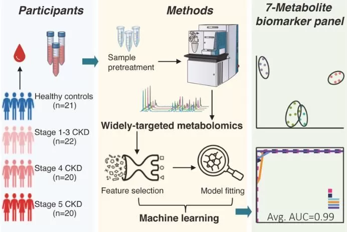 Metabolomic profiling and biomarker selection for chronic kidney ...