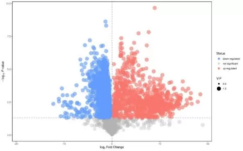 Unveiling Biomarkers: Differential Metabolite Screening in Metabolomics ...