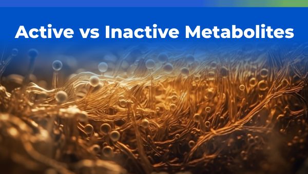 Active vs Inactive Metabolites: Understanding Their Role, Significance ...