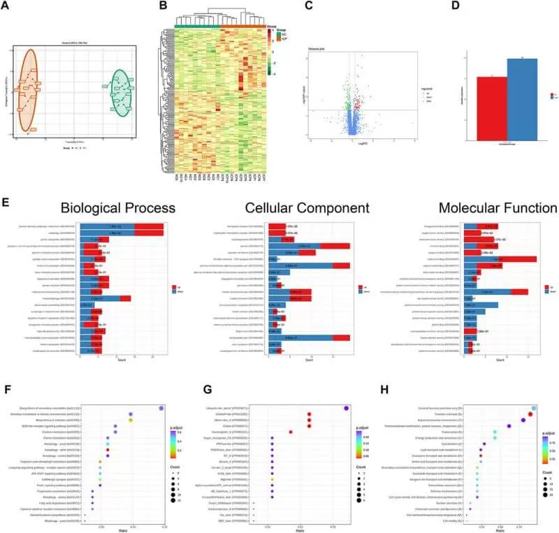 Decoding ICP: Proteomics Insights into Biomarkers and Pathways - MetwareBio