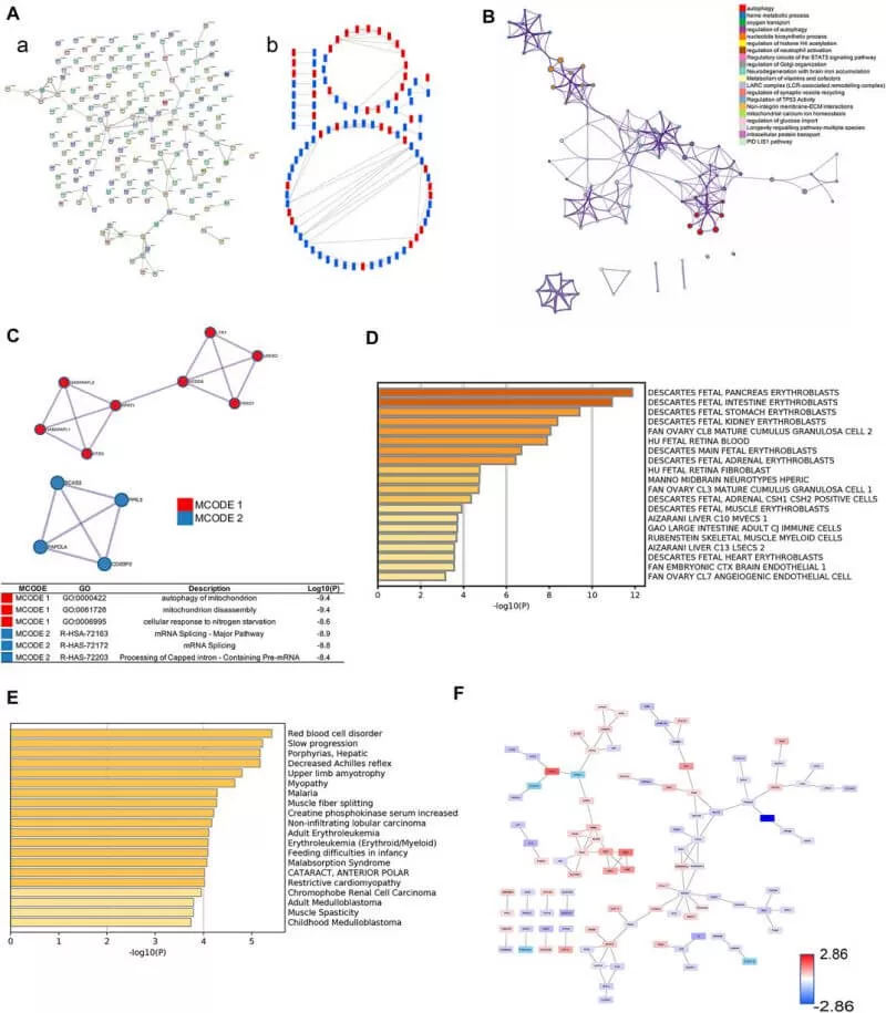 Decoding ICP: Proteomics Insights into Biomarkers and Pathways - MetwareBio