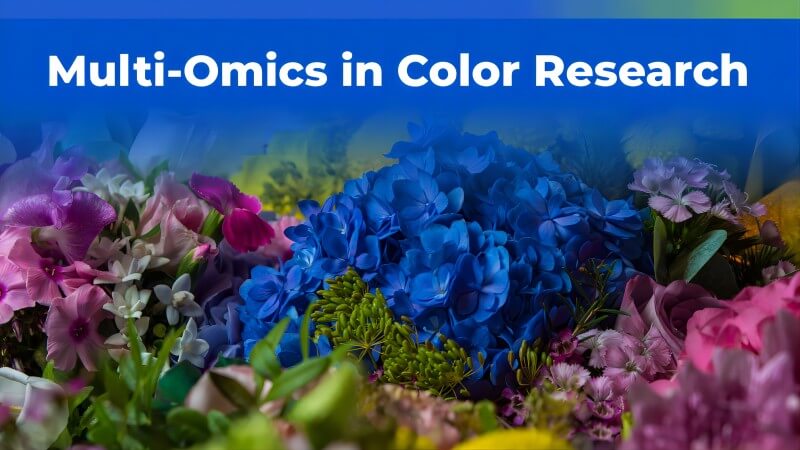 Transcriptomics Metabolomics In Color Research Metwarebio