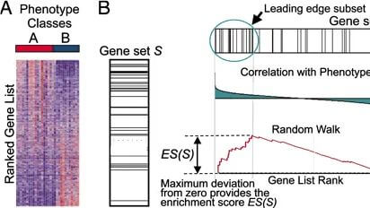 GSEA Enrichment Analysis: A Quick Guide to Understanding and Applying ...