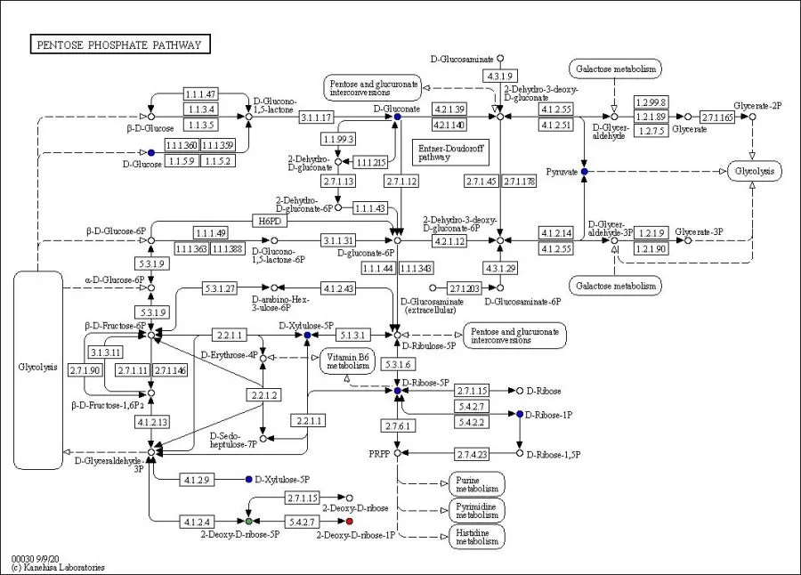 Data Analysis in Metabolomics Biomarker Research-Metabolites Function ...