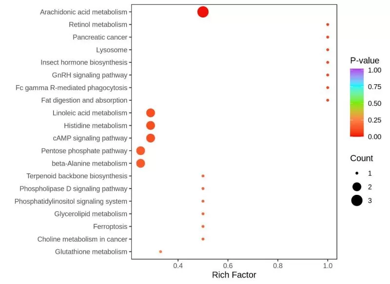 Data Analysis in Metabolomics Biomarker Research-Metabolites Function ...