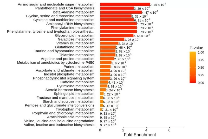 Data Analysis in Metabolomics Biomarker Research-Metabolites Function ...