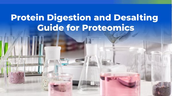 Enhancing Protein Analysis: A Comprehensive Guide to Protein Digestion ...