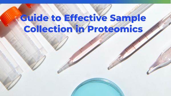Guide to Effective Sample Collection in Proteomics: Key Principles and ...