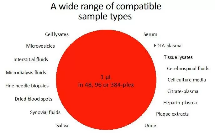 Olink Proteomics Explained: Principles, Advantages, and Comparison MS ...