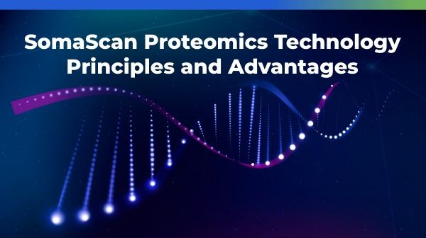 SomaScan Proteomics Technology: Principles and Advantages - MetwareBio