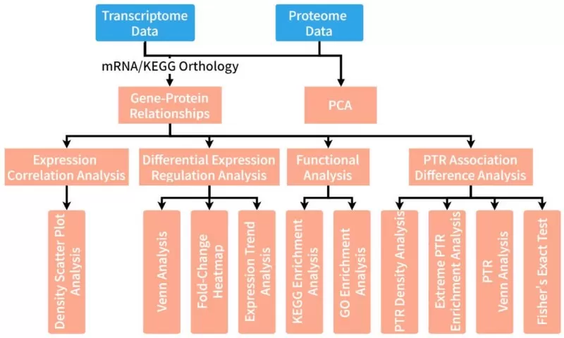 Multi-Omics Association Analysis (III): Association Analysis of ...