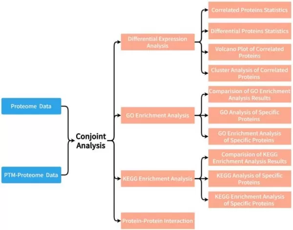Multi-Omics Association Analysis (I): Exploring Proteomics and Post ...