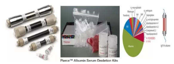 Key Protein Extraction Techniques for Biological Fluids in Proteomics ...