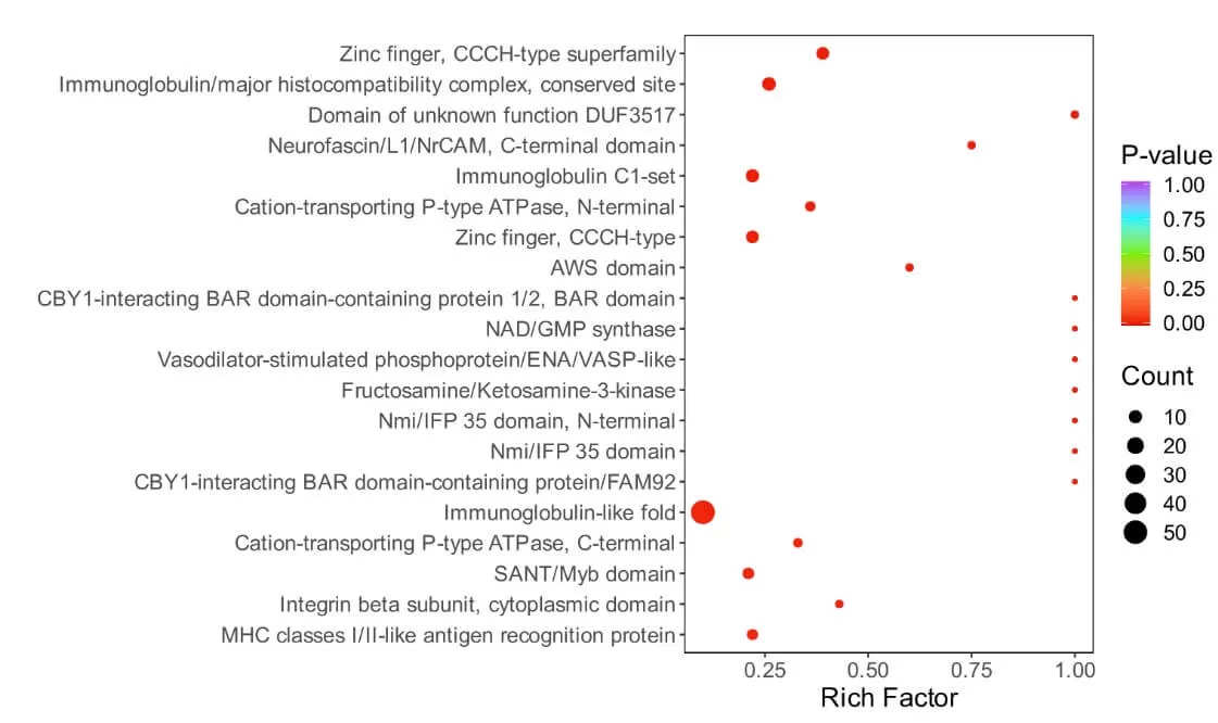 Comprehensive Guide to Basic Bioinformatics Analysis in Proteomics ...