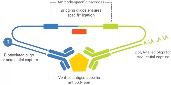 Alamar Proteomics Technology: Principles and Advantages of the Nulisa ...