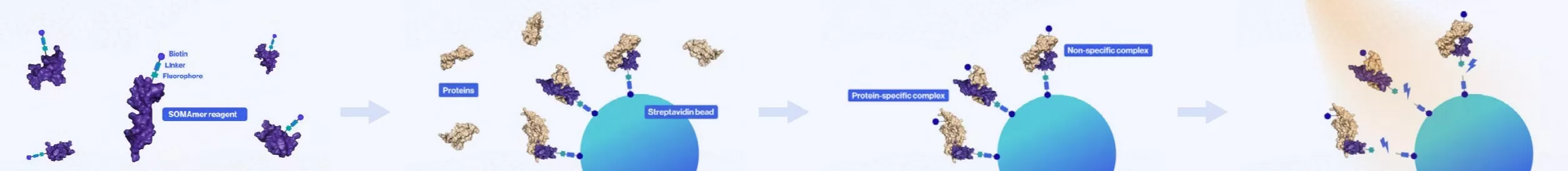 SomaScan Proteomics Technology: Principles and Advantages - MetwareBio