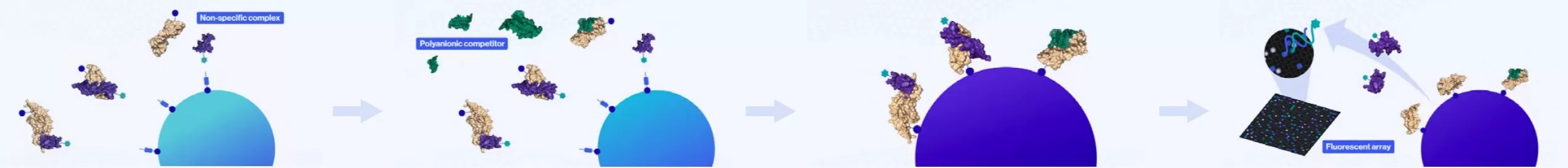 SomaScan Proteomics Technology: Principles and Advantages - MetwareBio