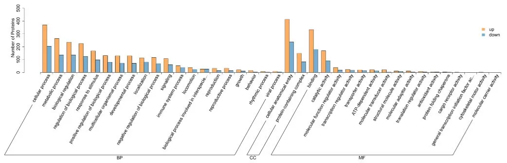 Comprehensive Guide to Basic Bioinformatics Analysis in Proteomics ...