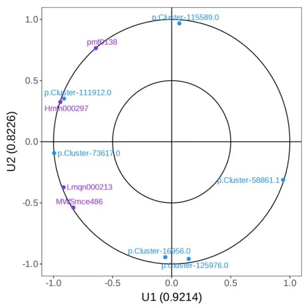 Multi-Omics Association Analysis (II): Association Analysis of ...