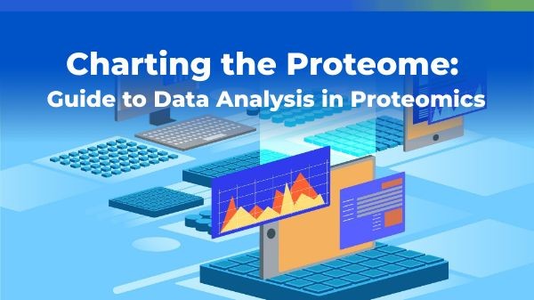 Charting the Proteome: A Comprehensive Guide to Data Analysis in ...