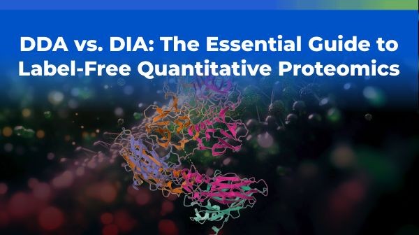 DDA vs. DIA: The Essential Guide to Label-Free Quantitative Proteomics - MetwareBio