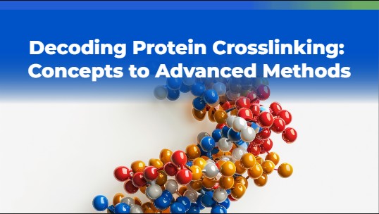 Decoding Protein Crosslinking: From Basic Concepts to Advanced Methods ... Decoding Protein Crosslinking: From Basic Concepts to Advanced Methods ...