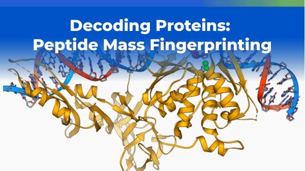 Decoding Peptide Mass Fingerprinting: A Guide to Protein Identification ...