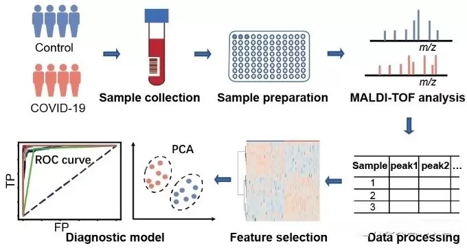 Decoding Peptide Mass Fingerprinting: A Guide to Protein Identification ...
