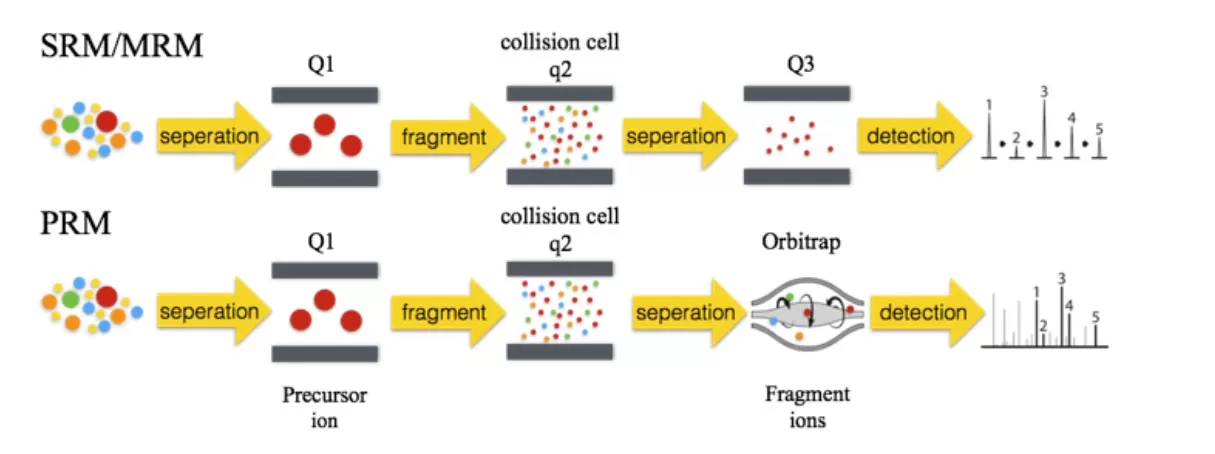 Comprehensive Guide to Proteomics Technology: Strategies, Methods ...