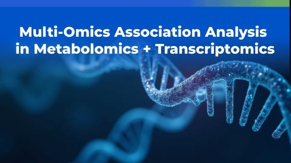 Guide to Multi-Omics Association Analysis in Metabolomics and Transcriptomics - MetwareBio