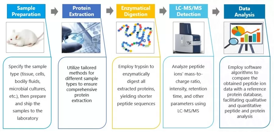DDA vs. DIA: The Essential Guide to Label-Free Quantitative Proteomics ...
