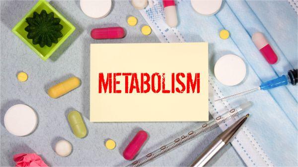Adenosine Triphosphate (ATP): The Key to Cellular Energy Metabolism - MetwareBio