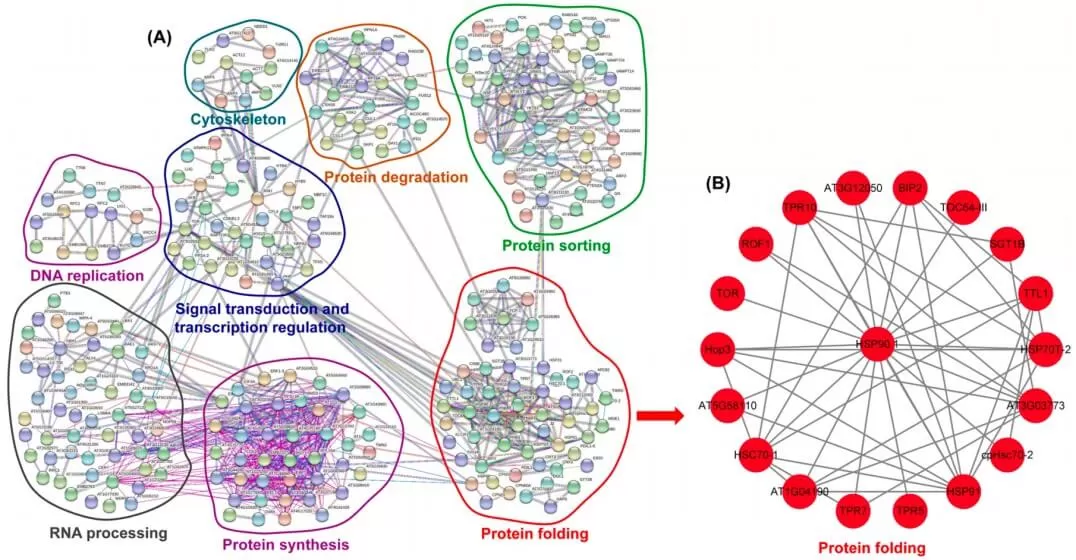 Charting the Proteome: A Comprehensive Guide to Data Analysis in ...