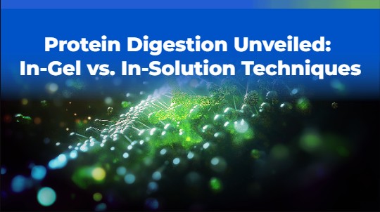 Protein Digestion Unveiled: In-Gel vs. In-Solution Techniques - MetwareBio