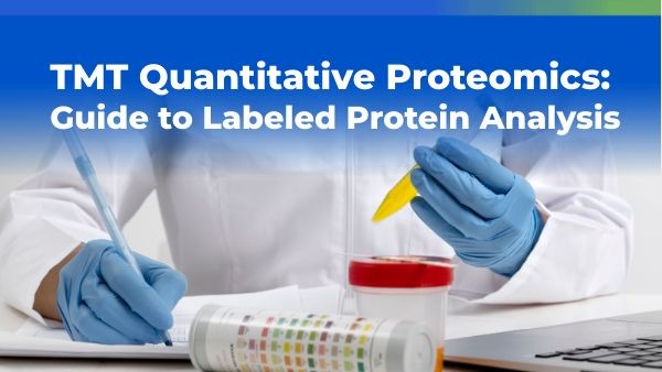 TMT Quantitative Proteomics: A Comprehensive Guide to Labeled Protein Analysis - MetwareBio