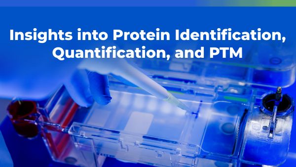 The Proteomics Landscape: Insights into Protein Identification ...