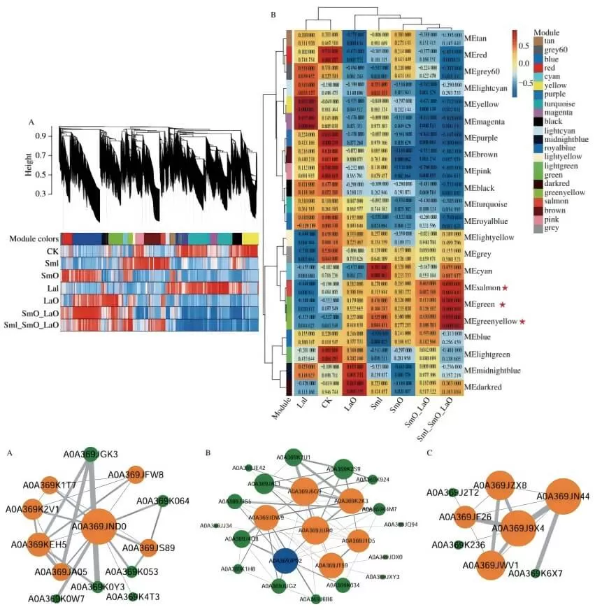 Charting the Proteome: A Comprehensive Guide to Data Analysis in ...
