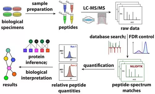 Charting the Proteome: A Comprehensive Guide to Data Analysis in ...
