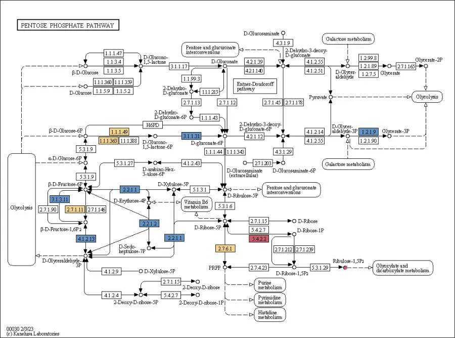 Guide to Multi-Omics Association Analysis in Metabolomics and ...