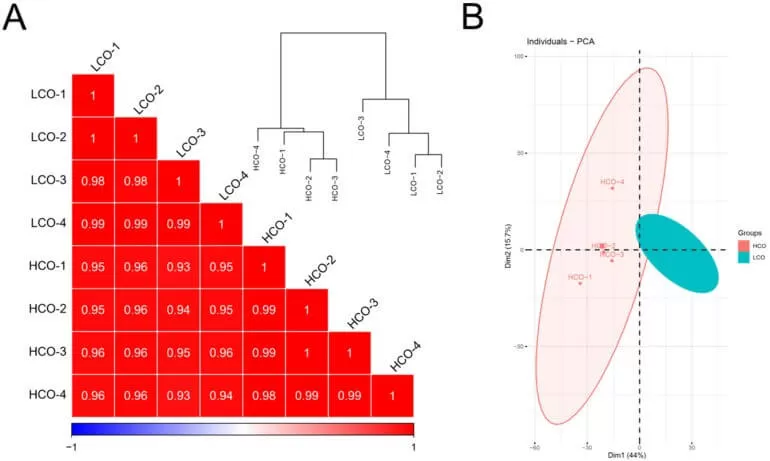 Charting the Proteome: A Comprehensive Guide to Data Analysis in ...