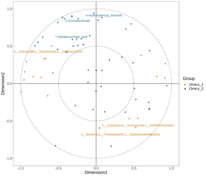 Step-by-Step Guide to Multi-Omics Association Analysis in Metabolomics ...