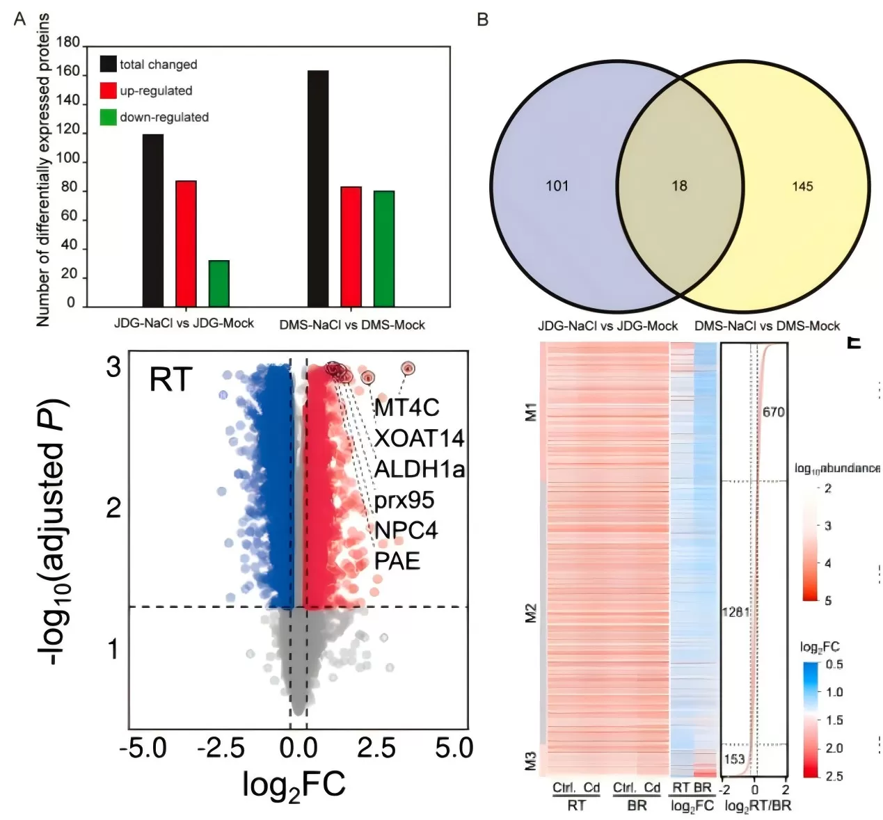 Charting the Proteome: A Comprehensive Guide to Data Analysis in ...