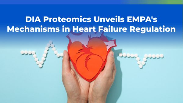 DIA Proteomics Unveils EMPA's Mechanisms in Heart Failure Regulation ...